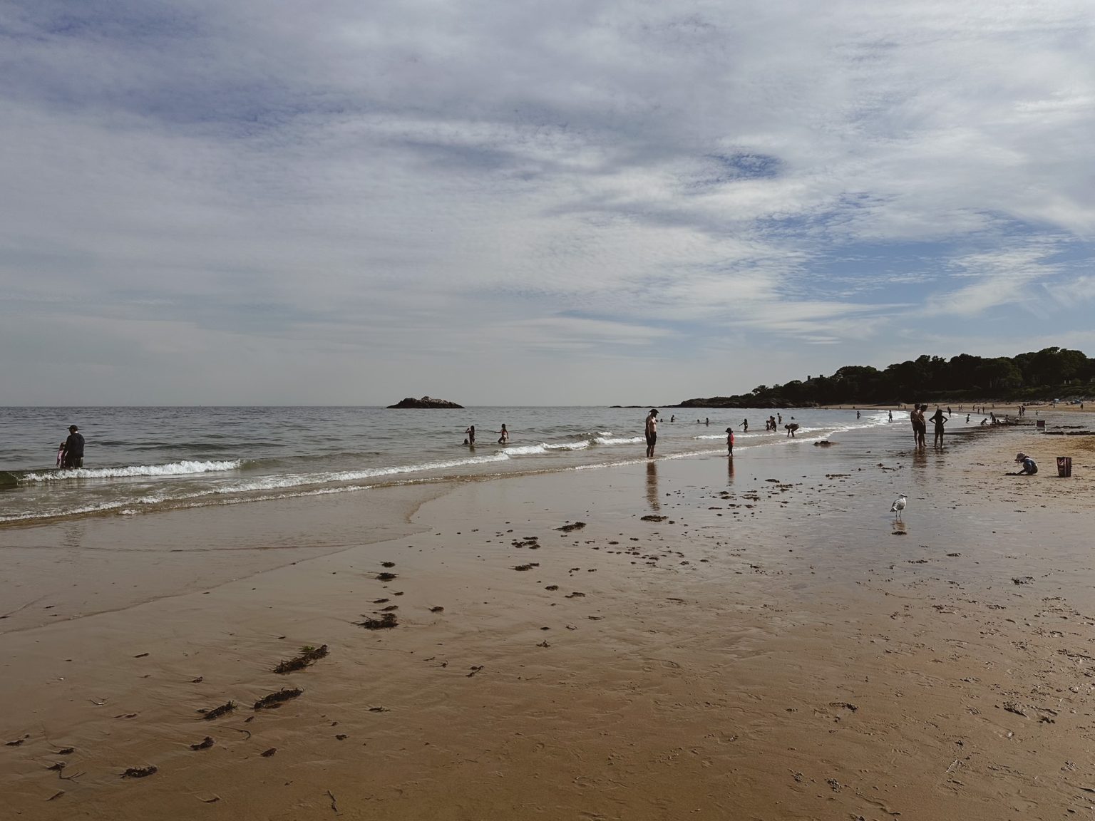 Singing Beach in Manchester-by-the-Sea, MA: All You Need to Know